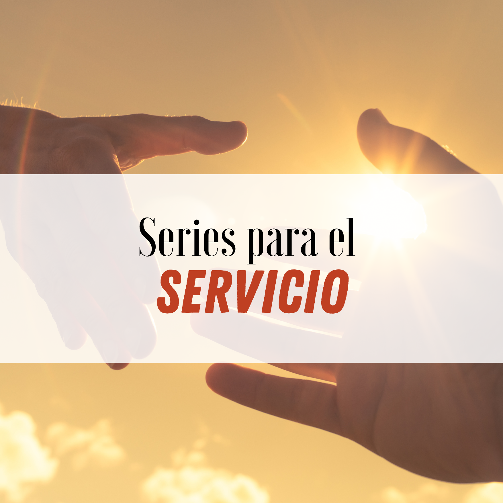 Series para el Servicio – EditorialIntegral